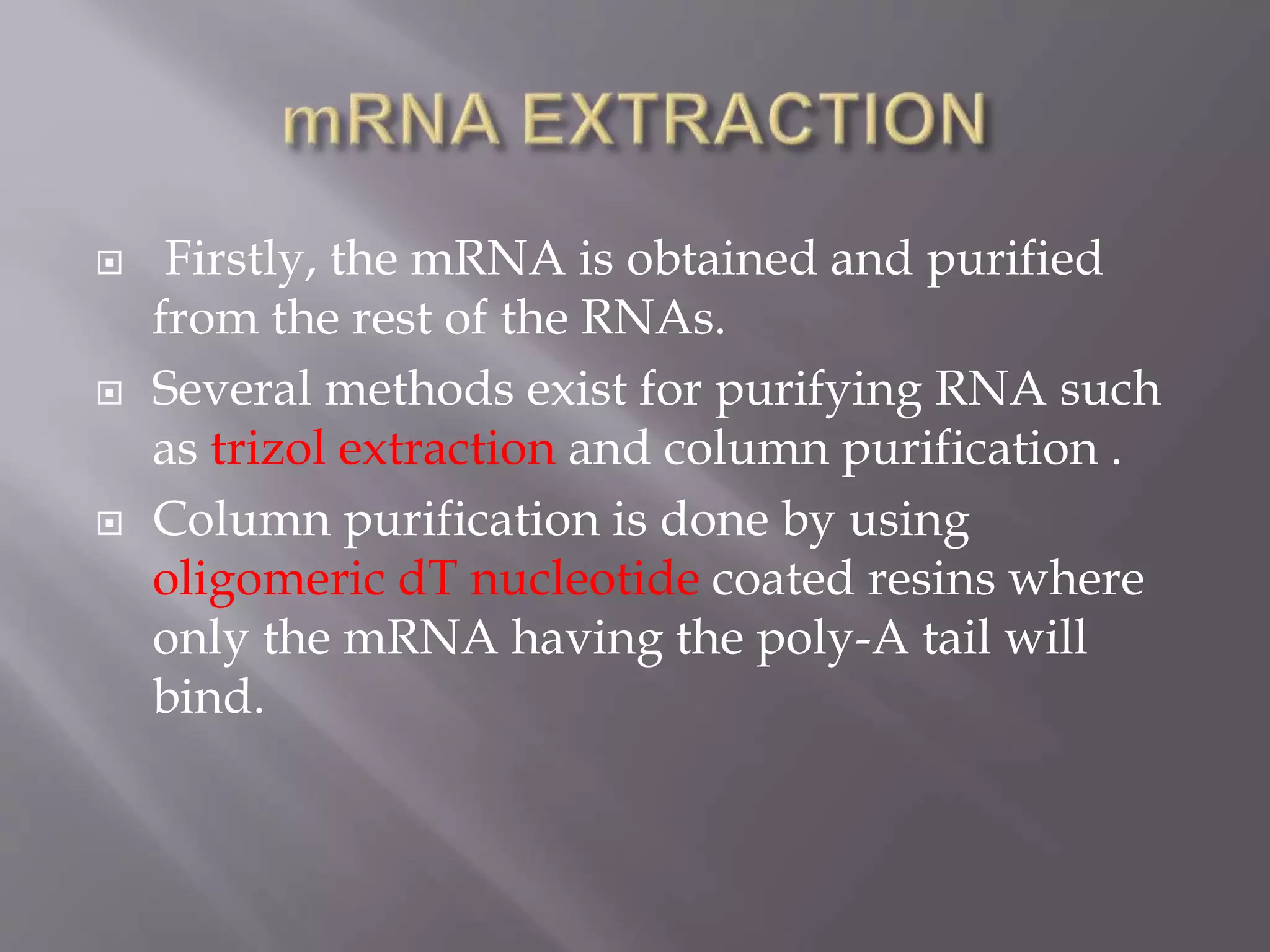 RNA ISOLATION AND cDNA PREPARATION | PPTX