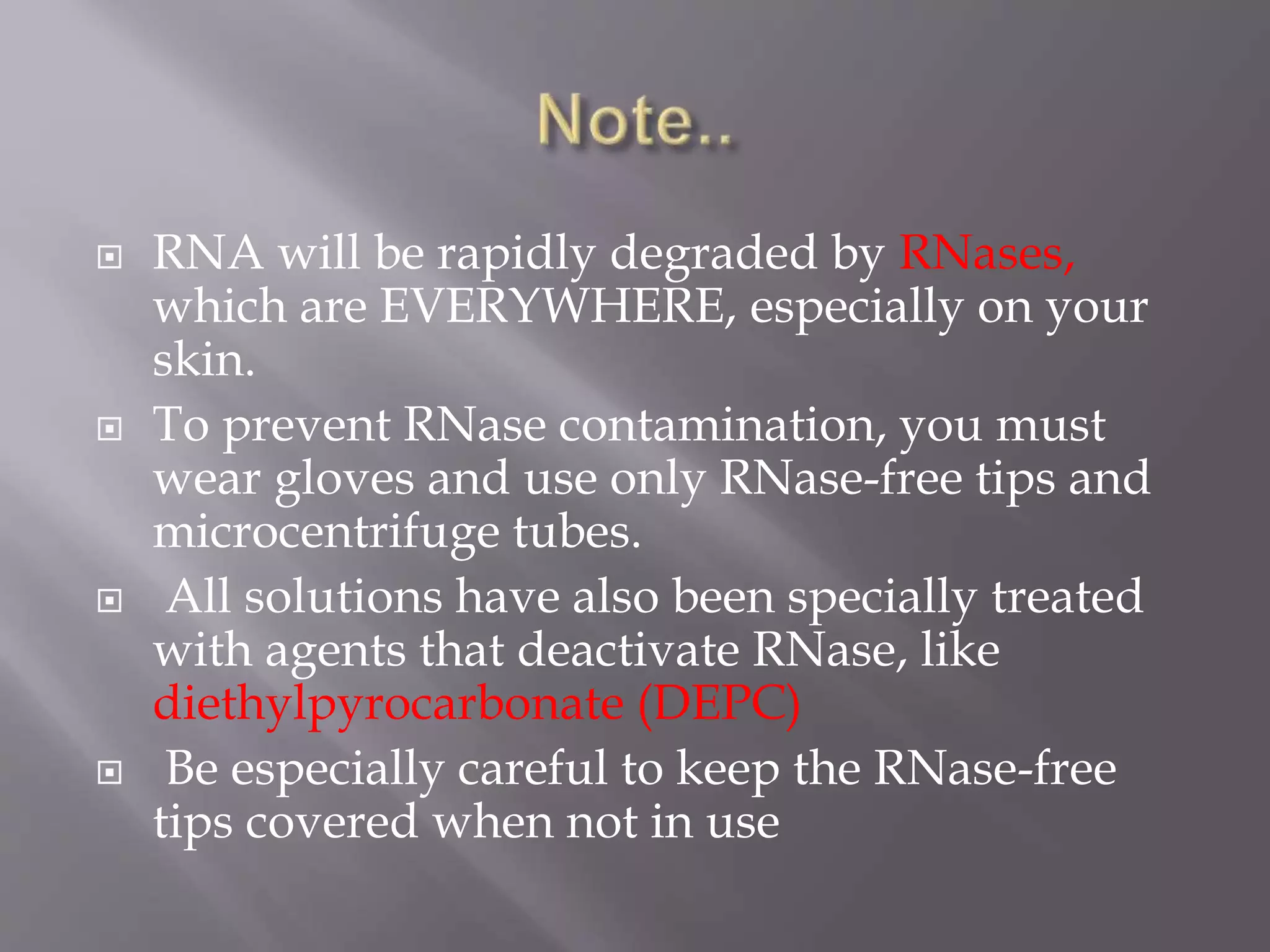 RNA ISOLATION AND cDNA PREPARATION | PPTX