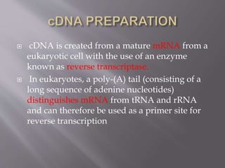 RNA ISOLATION AND cDNA PREPARATION | PPTX