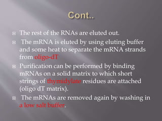 RNA ISOLATION AND cDNA PREPARATION | PPTX