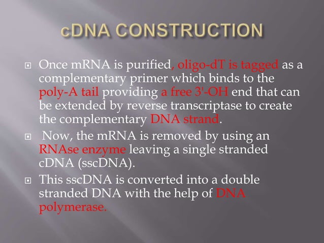 RNA ISOLATION AND cDNA PREPARATION | PPTX