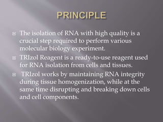 RNA ISOLATION AND cDNA PREPARATION | PPTX