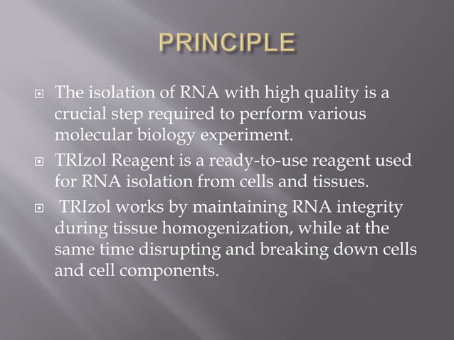 RNA ISOLATION AND cDNA PREPARATION | PPTX