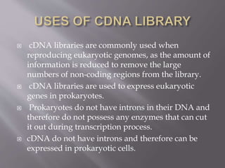 RNA ISOLATION AND cDNA PREPARATION | PPTX