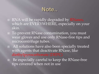 RNA ISOLATION AND cDNA PREPARATION | PPTX