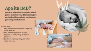 IMD dan ASI Eksklusif.pdf