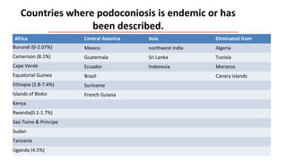 IMED 2018: Predicting the environmental suitability of podoconiosis in ...