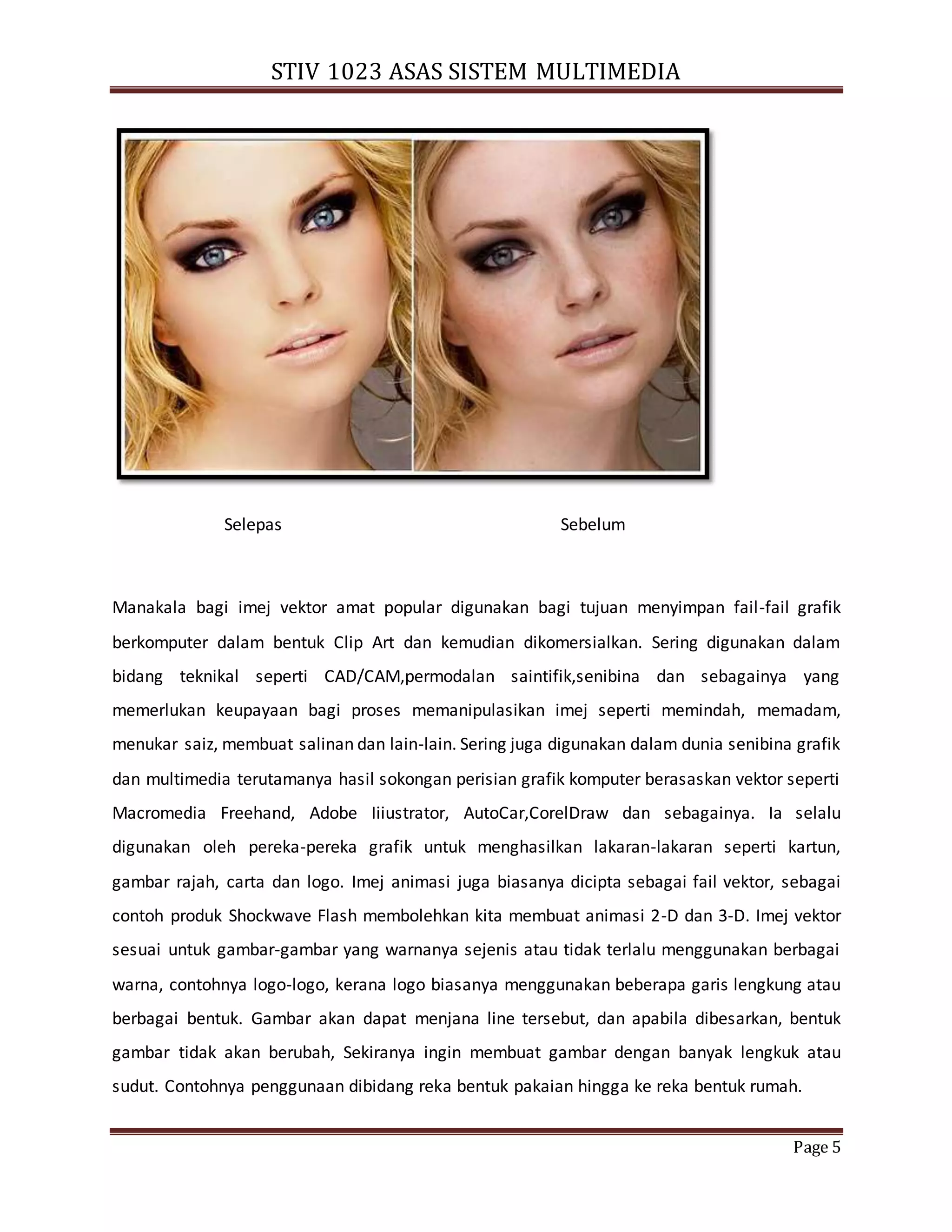 Imej vektor dan imej bitmap | DOCX