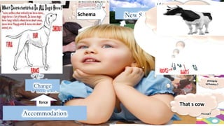 Jean Piaget-Four Basic Cognitive Concepts(Illustration) | PPTX