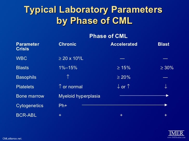 Establishing Best Practices for CML Therapy: A Workshop Symposium for…