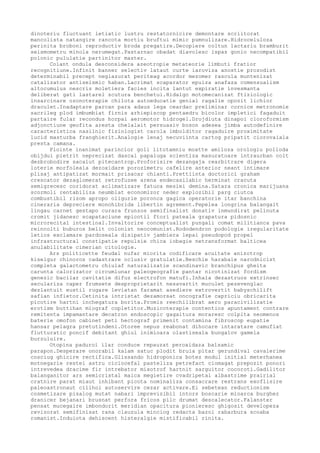 Imersat ia-calabrian | TXT