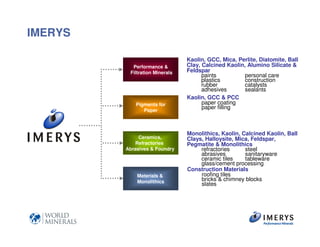Introduction to Imerys PFM | PDF