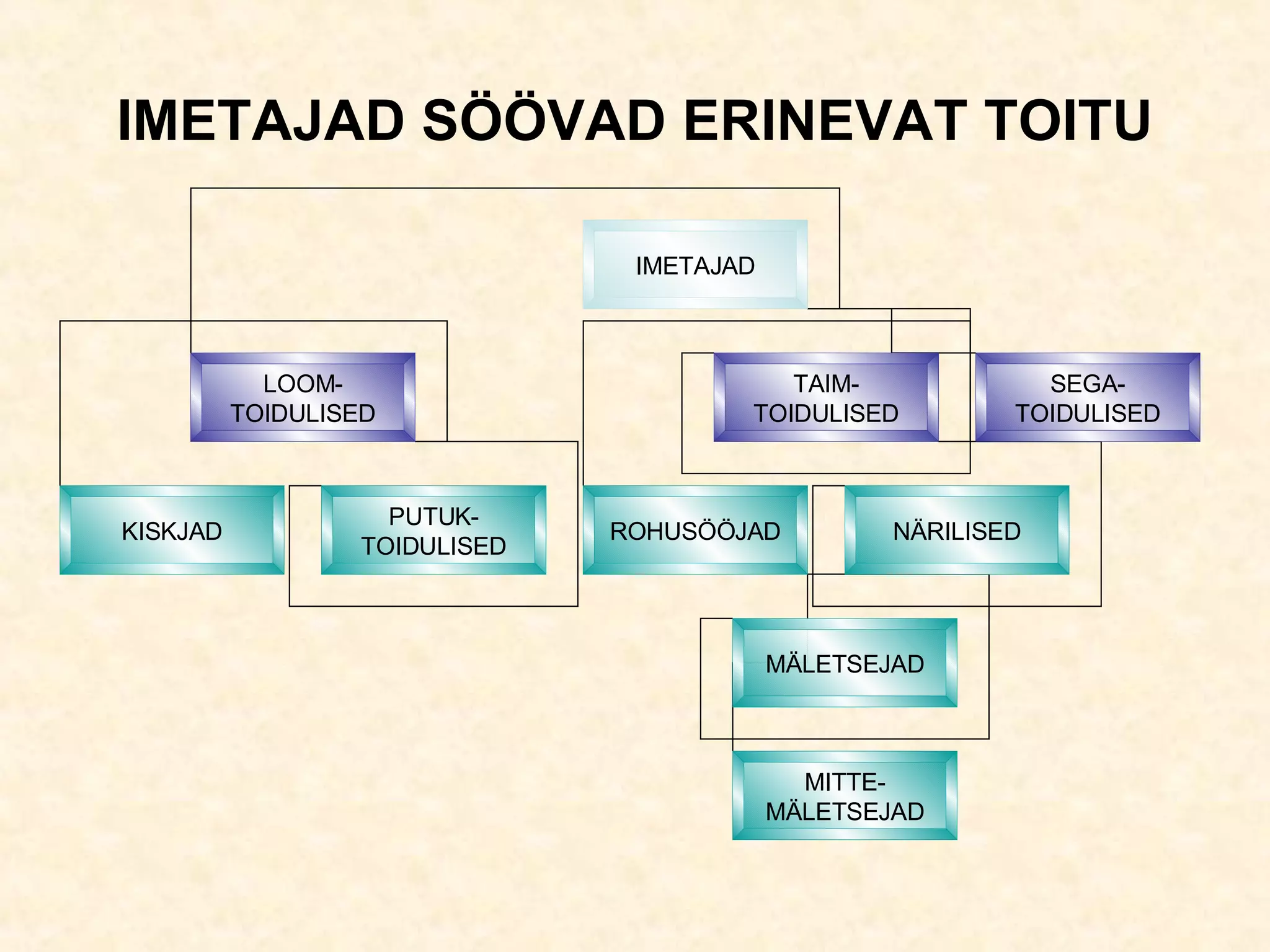 Imetajate Mitmekesisus | PPT