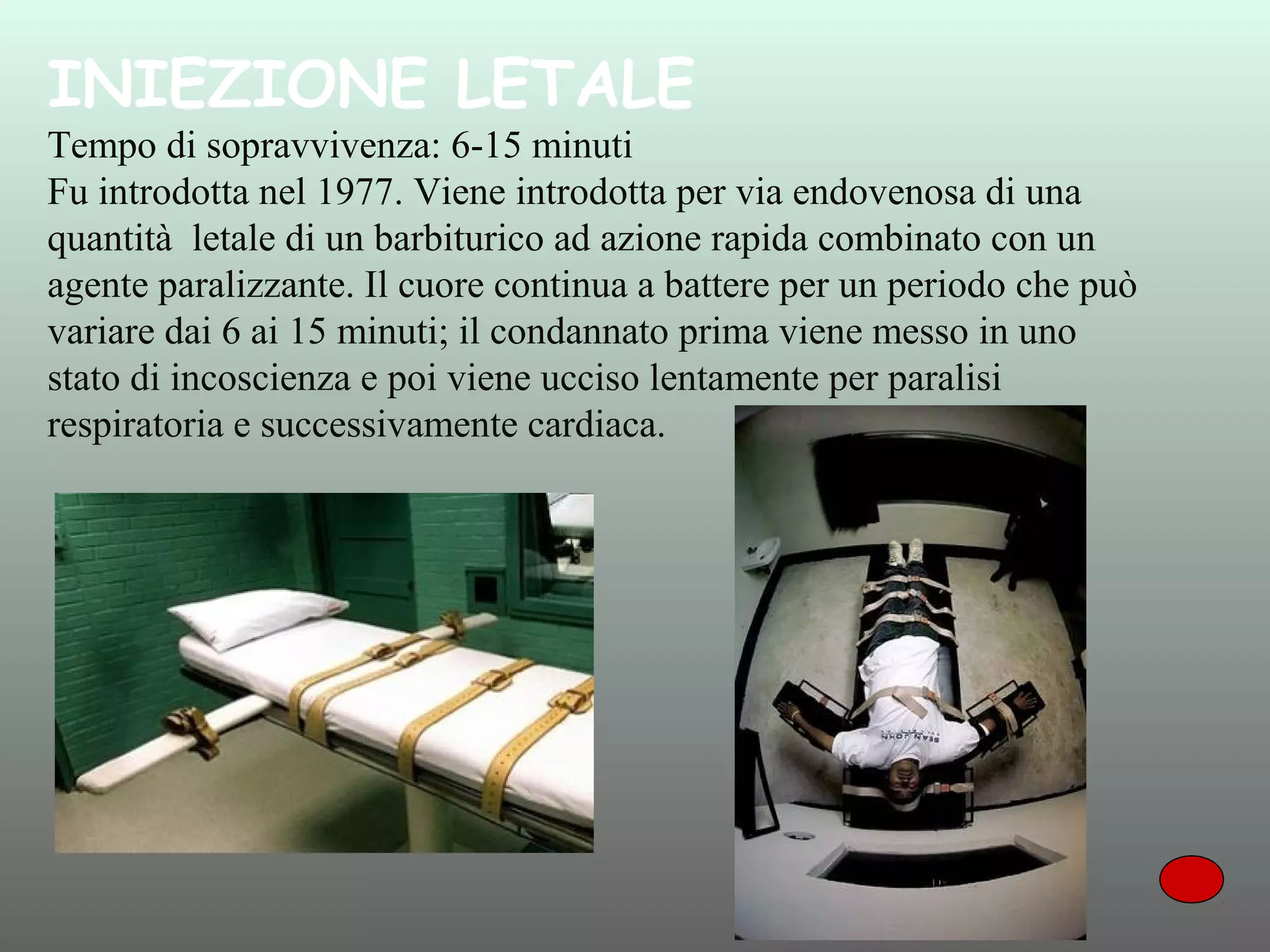 Pena di morte | PPT