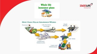 IME Life Insurance whole life plan | PPTX