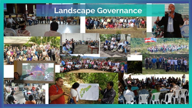 Model Forests. A foundational path to biodiversity conservation | PPT