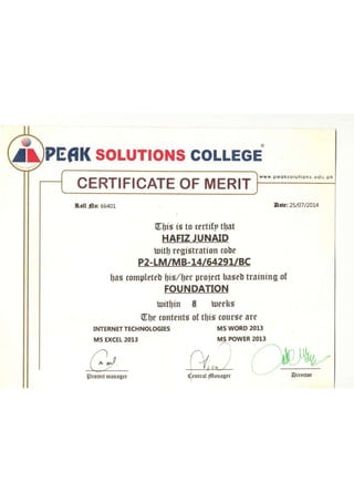 Peak Solutions College | PDF