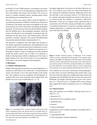Double Collecting System, A Rare Disease Diagnosis and Management: A ...