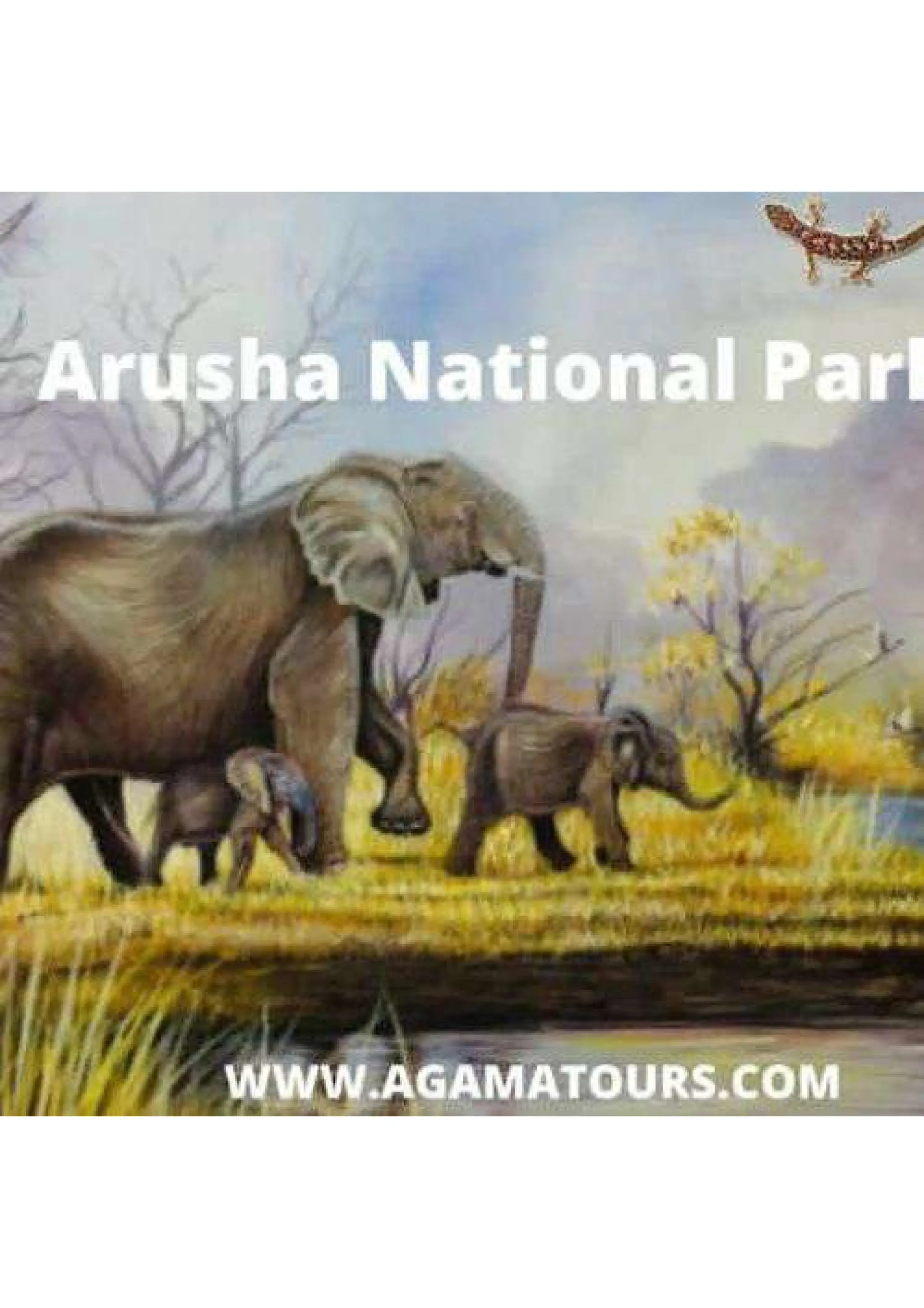 Agama Tours-Arusha national Park day trip | PDF