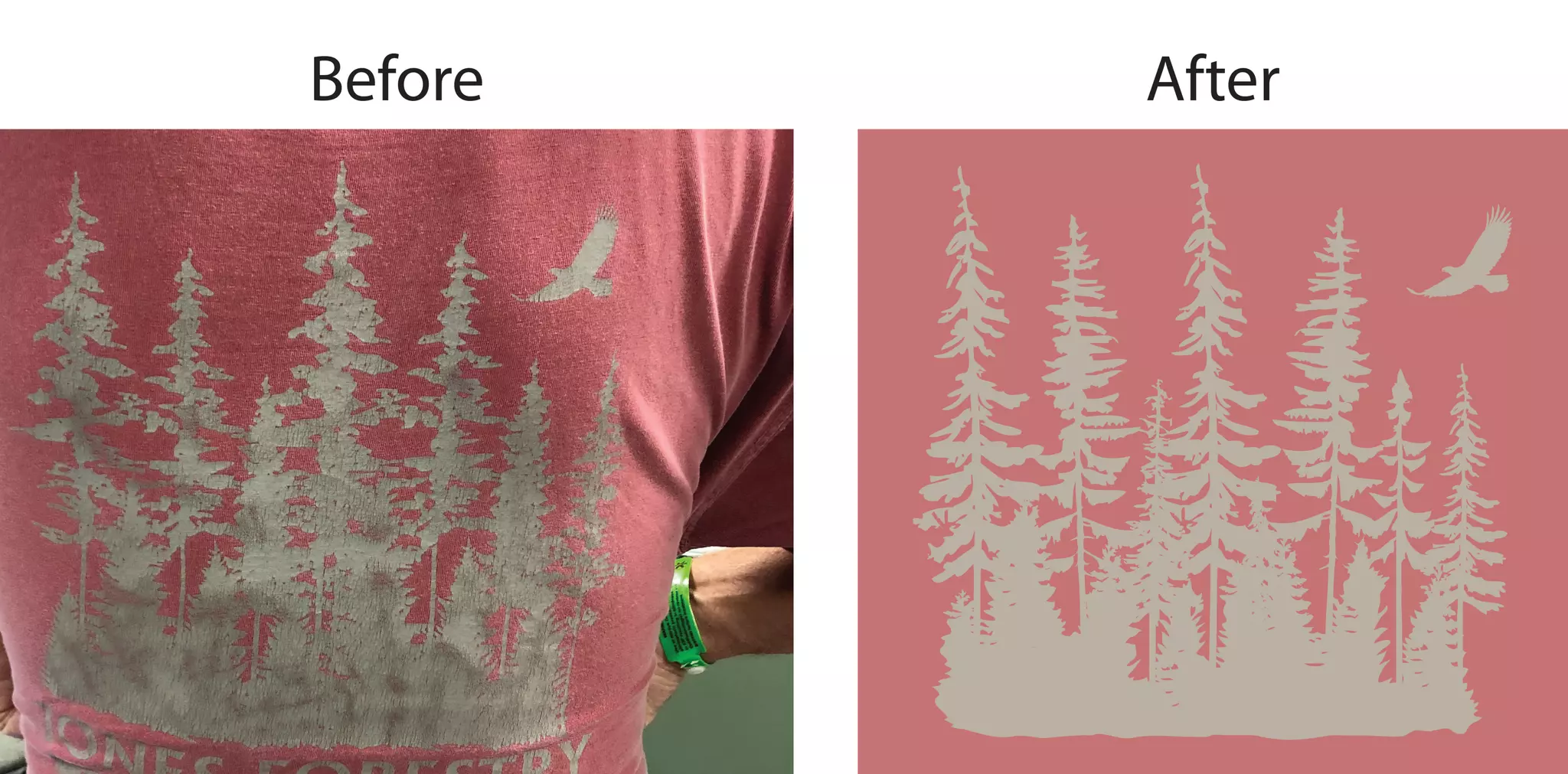 Raster Image Convert Into Vector Pdf Graphics Software Computer Software And Applications