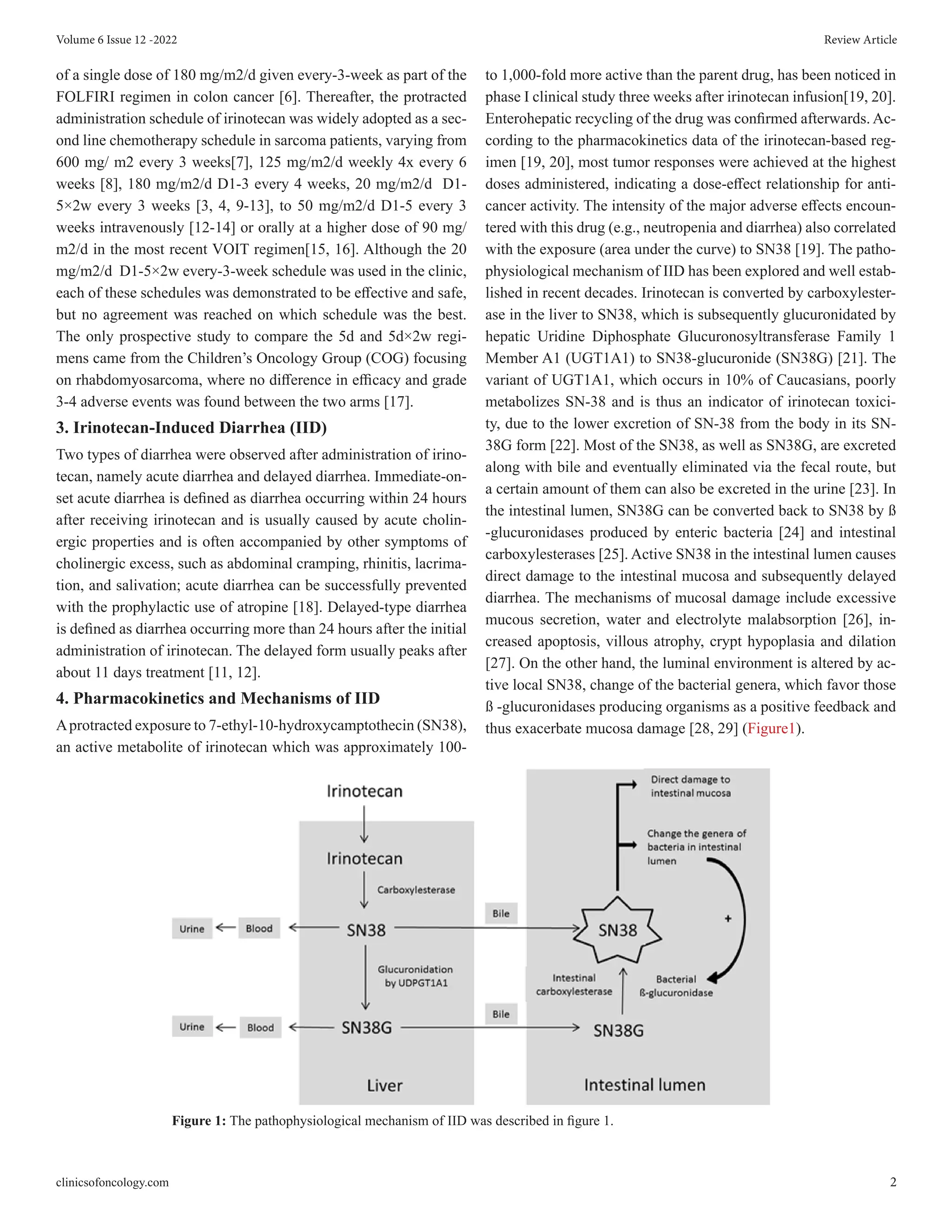 Irinotecan-Induced Diarrhea During A Protracted Administration Schedule for Pediatric Sarcomas ...