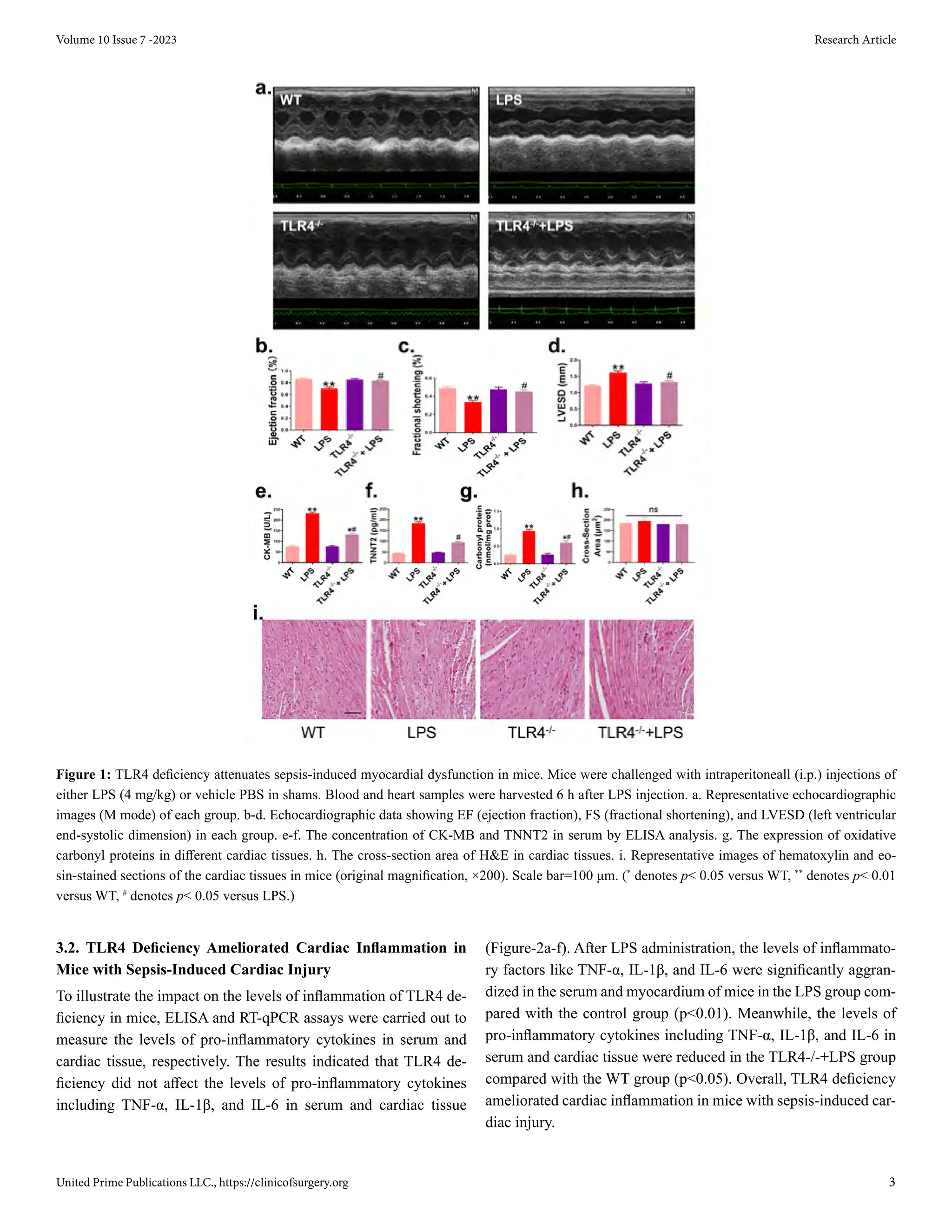 Deletion of TLR4 Ameliorates Inflammation Response and Apoptosis in ...