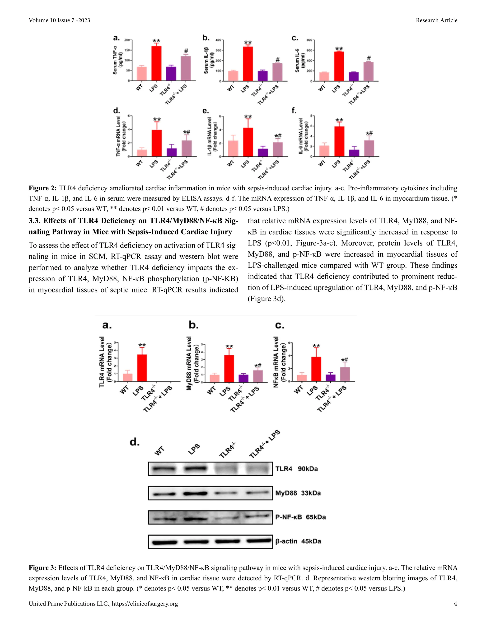 Deletion of TLR4 Ameliorates Inflammation Response and Apoptosis in ...