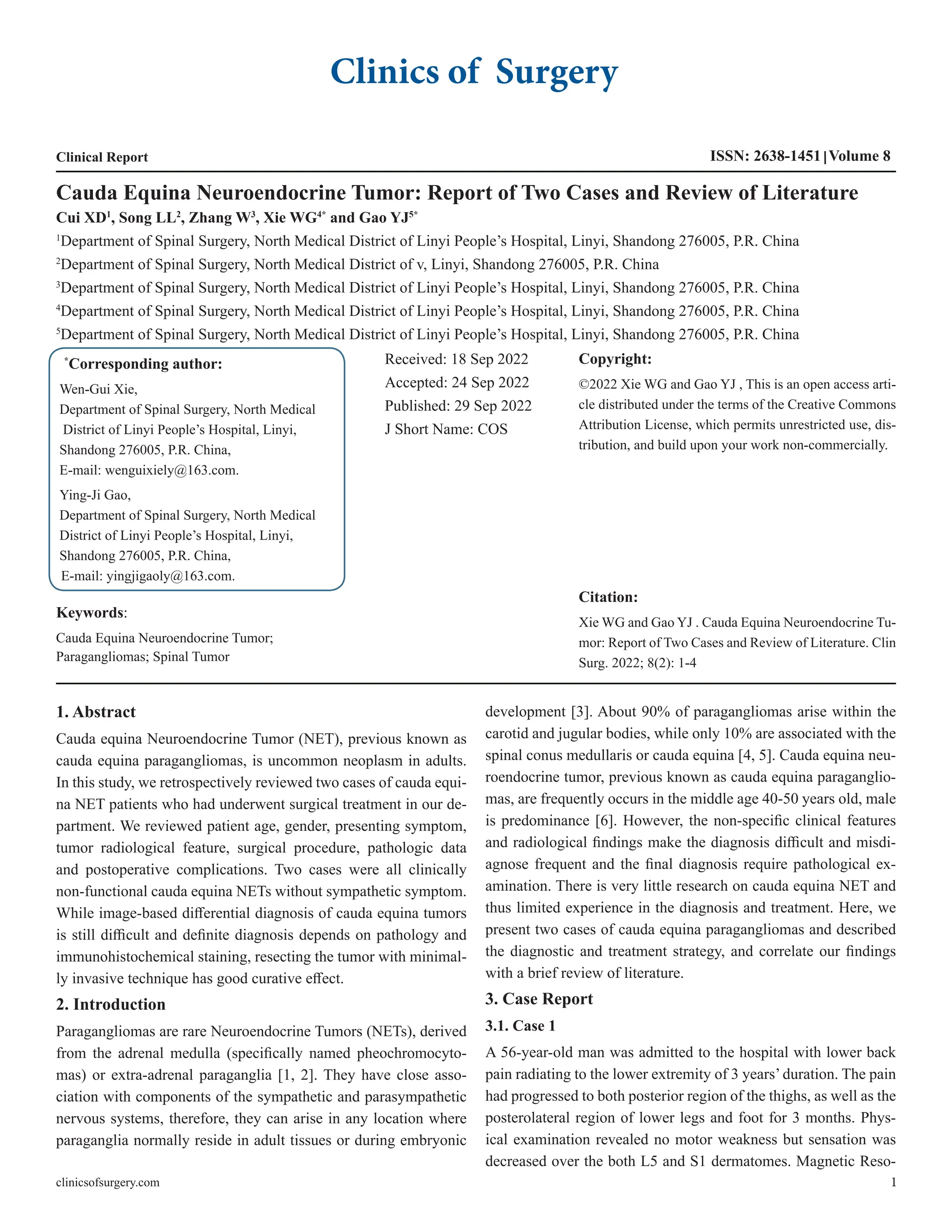 Cauda Equina Neuroendocrine Tumor: Report of Two Cases and Review of ...