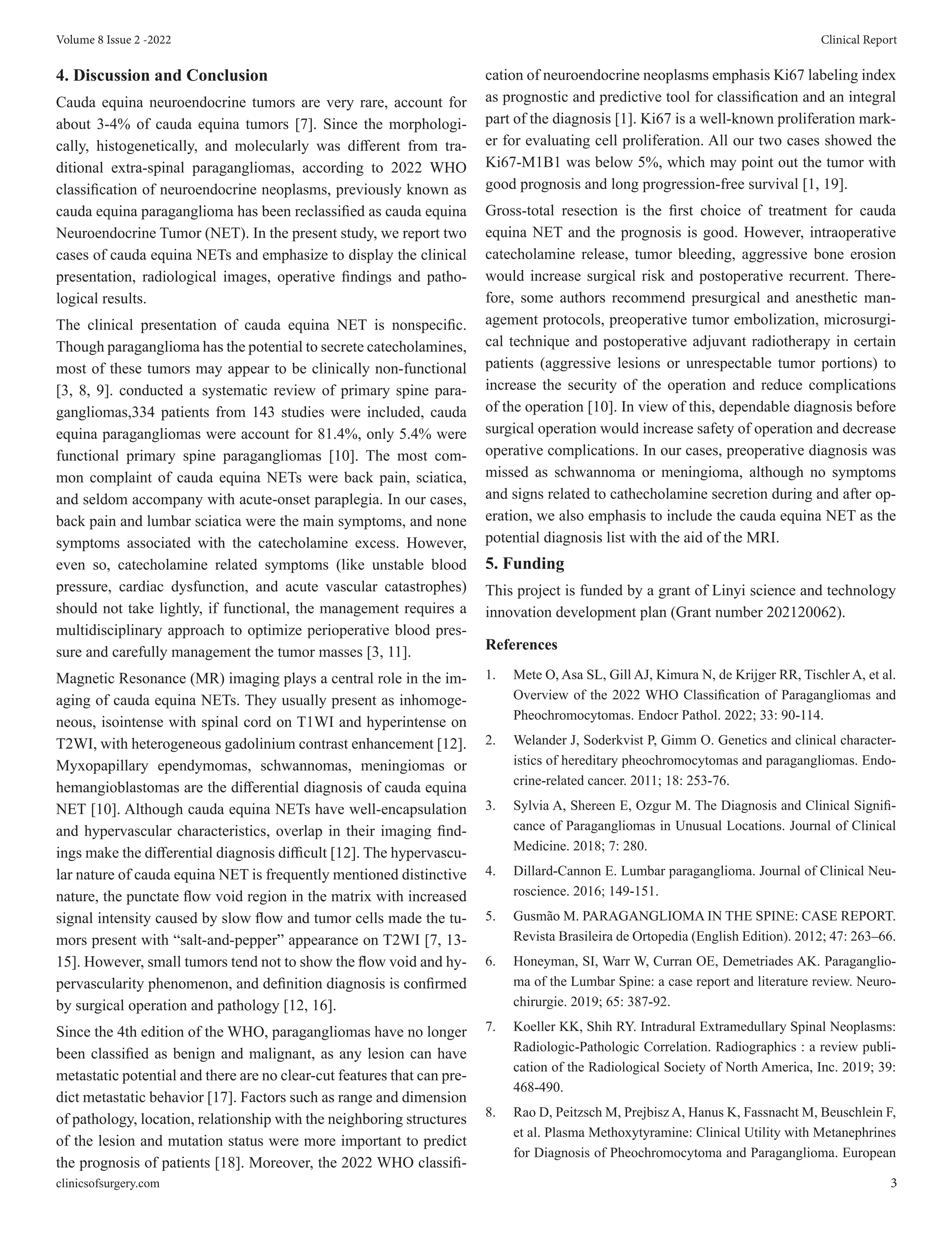 Cauda Equina Neuroendocrine Tumor: Report of Two Cases and Review of ...