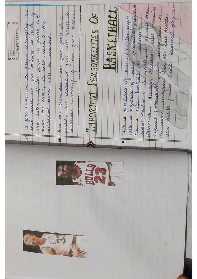 Physical and health education project class 12 | PDF