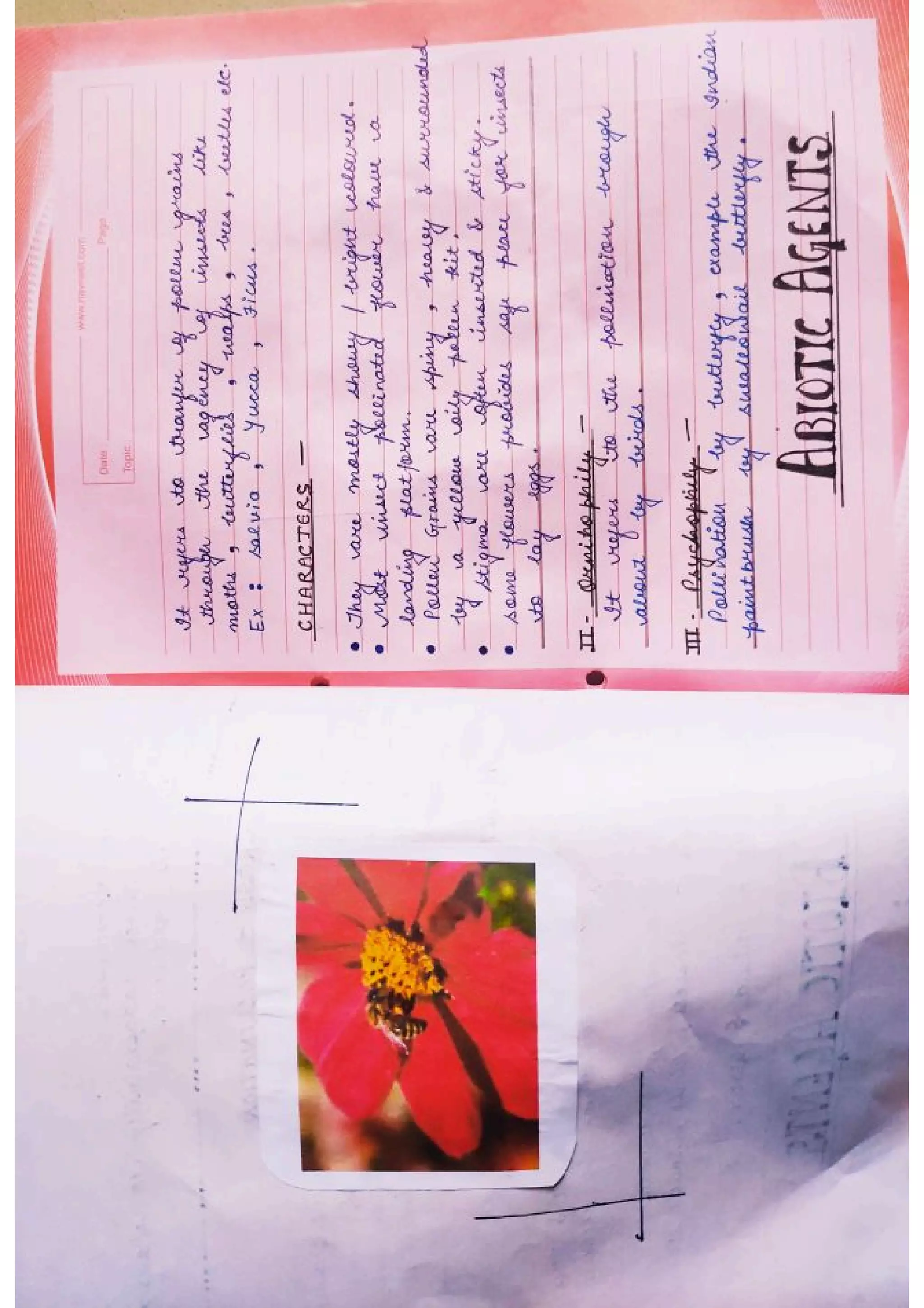 Biology Investigatory Project Class 12 on Pollination | PDF