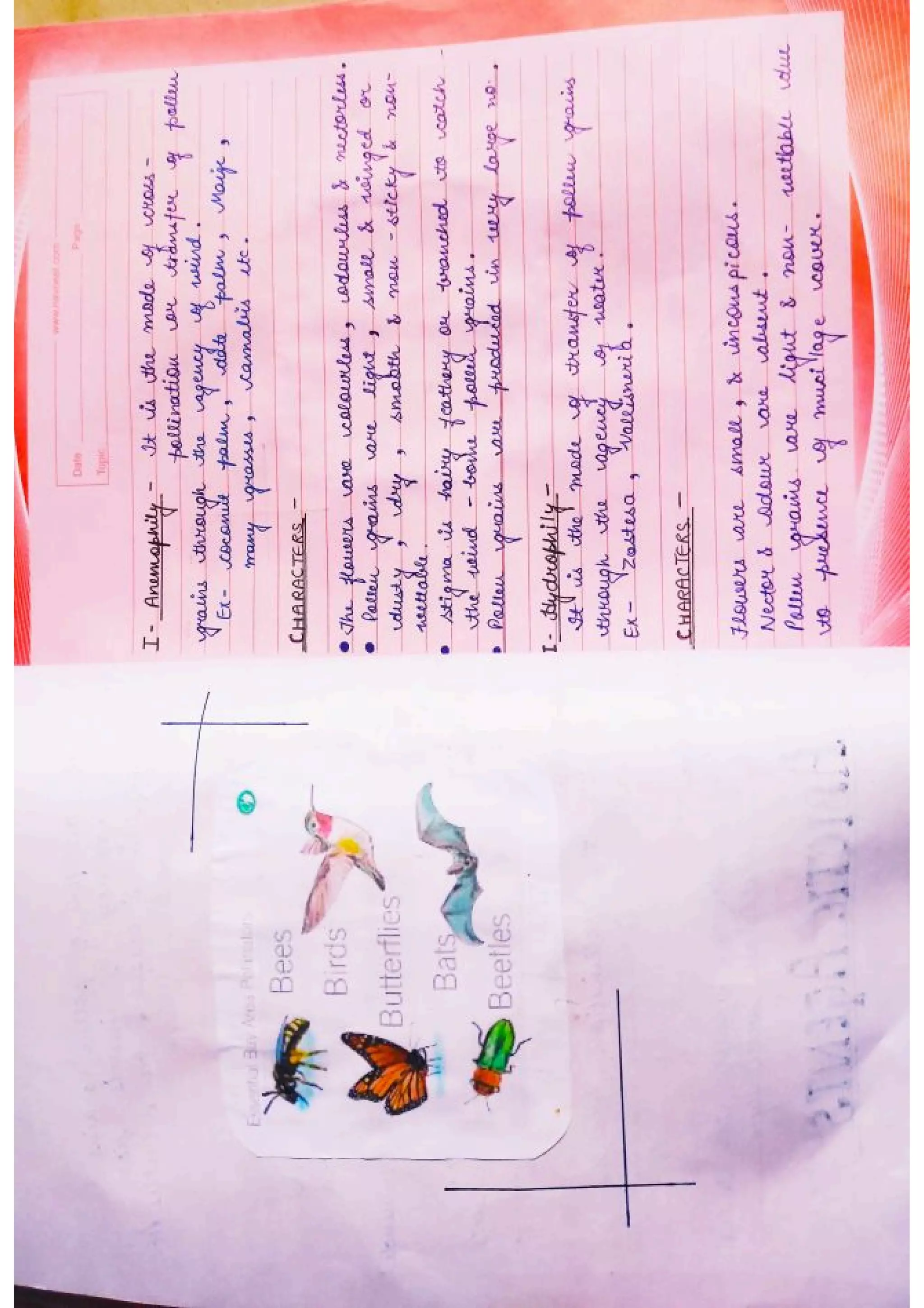 Biology Investigatory Project Class 12 on Pollination | PDF