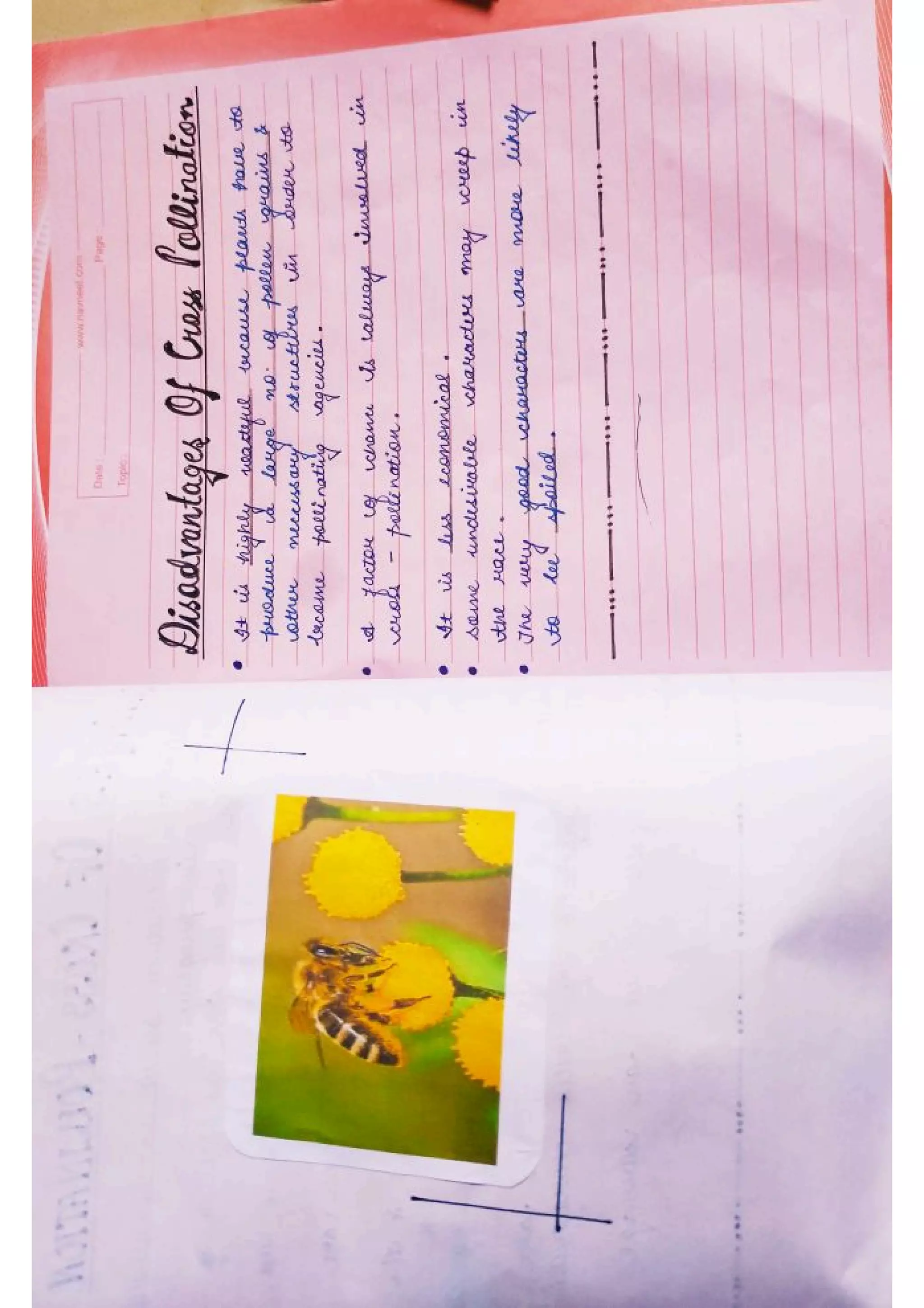 Biology Investigatory Project Class 12 on Pollination | PDF