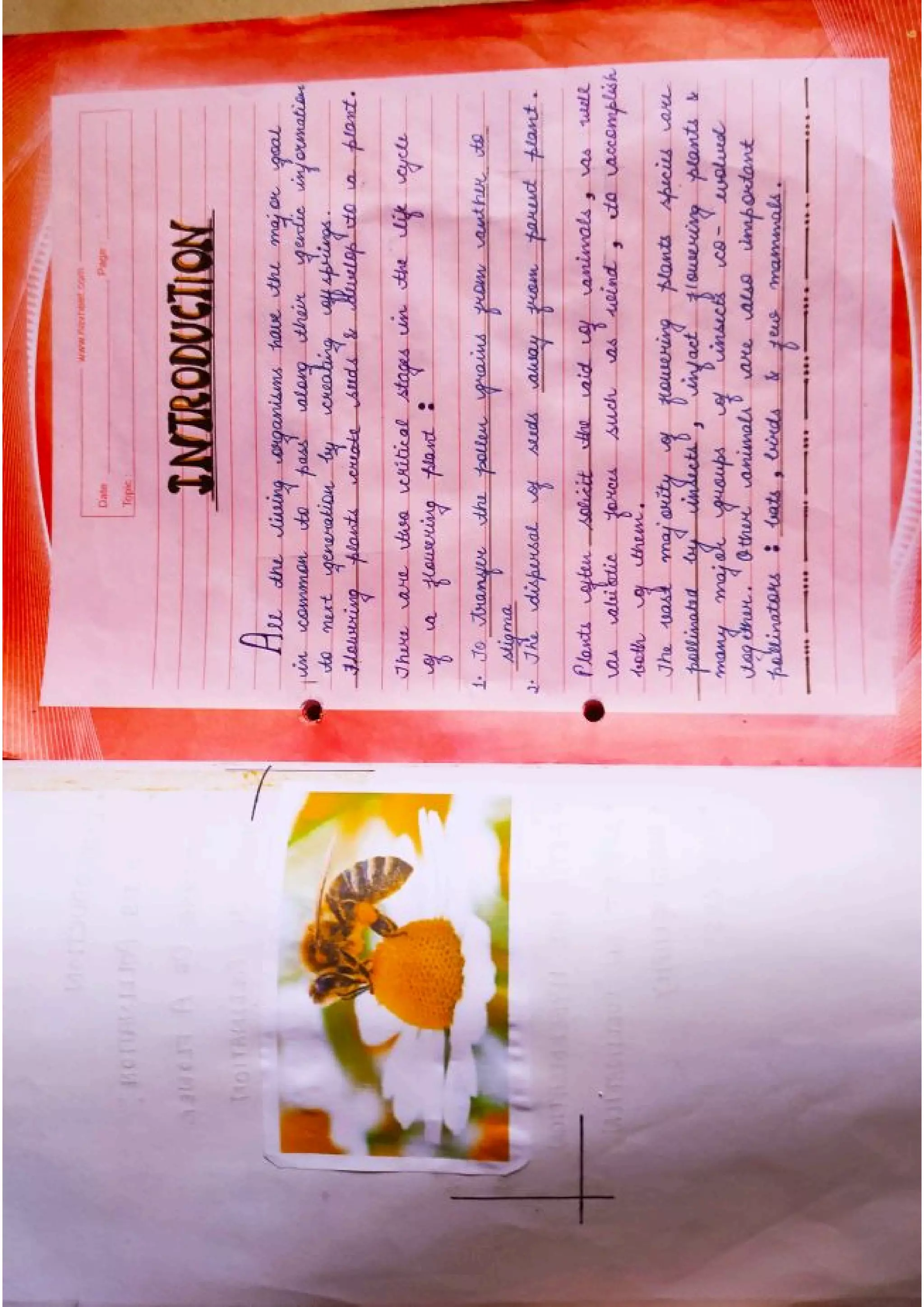 Biology Investigatory Project Class 12 on Pollination | PDF