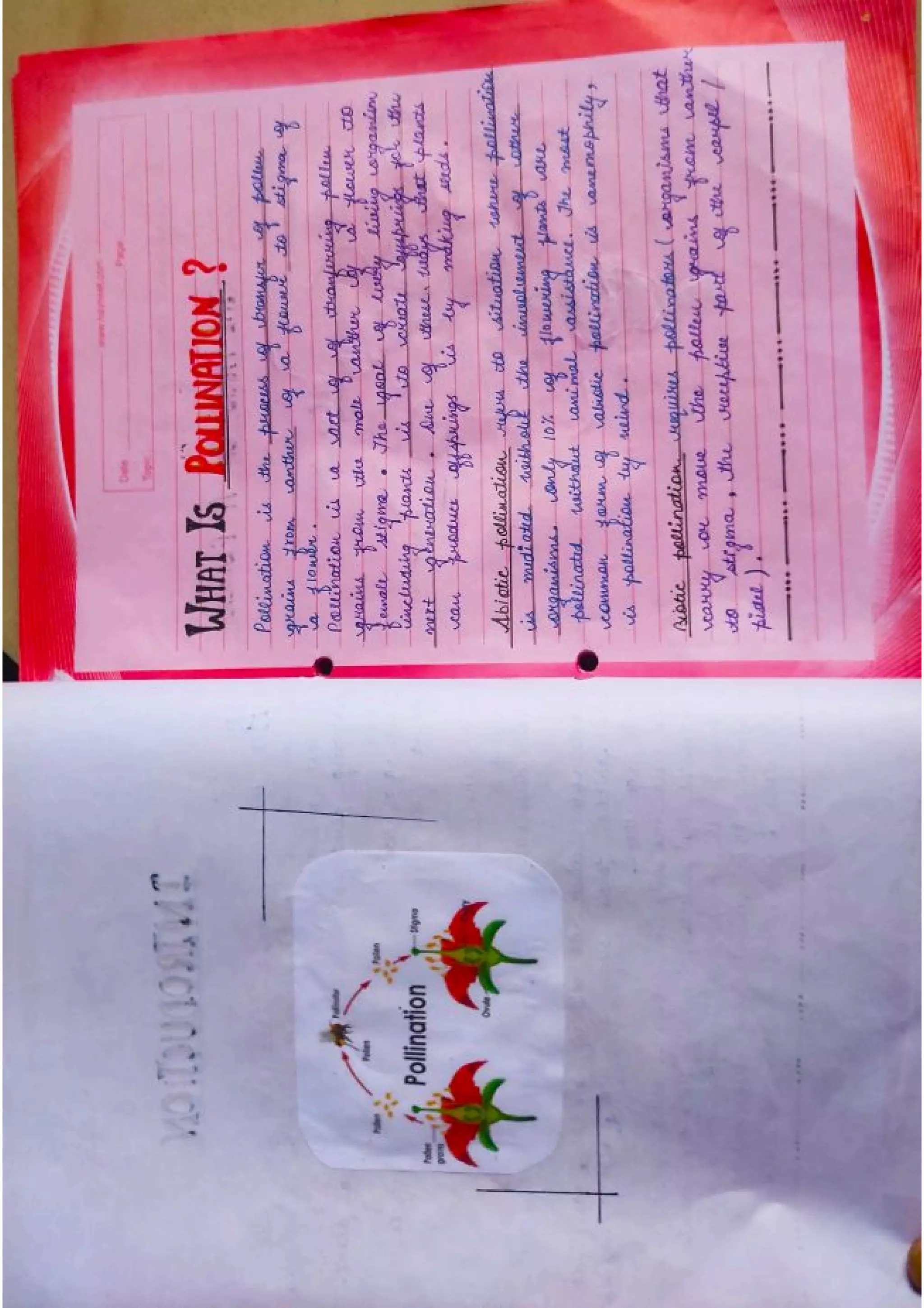 Biology Investigatory Project Class 12 on Pollination | PDF