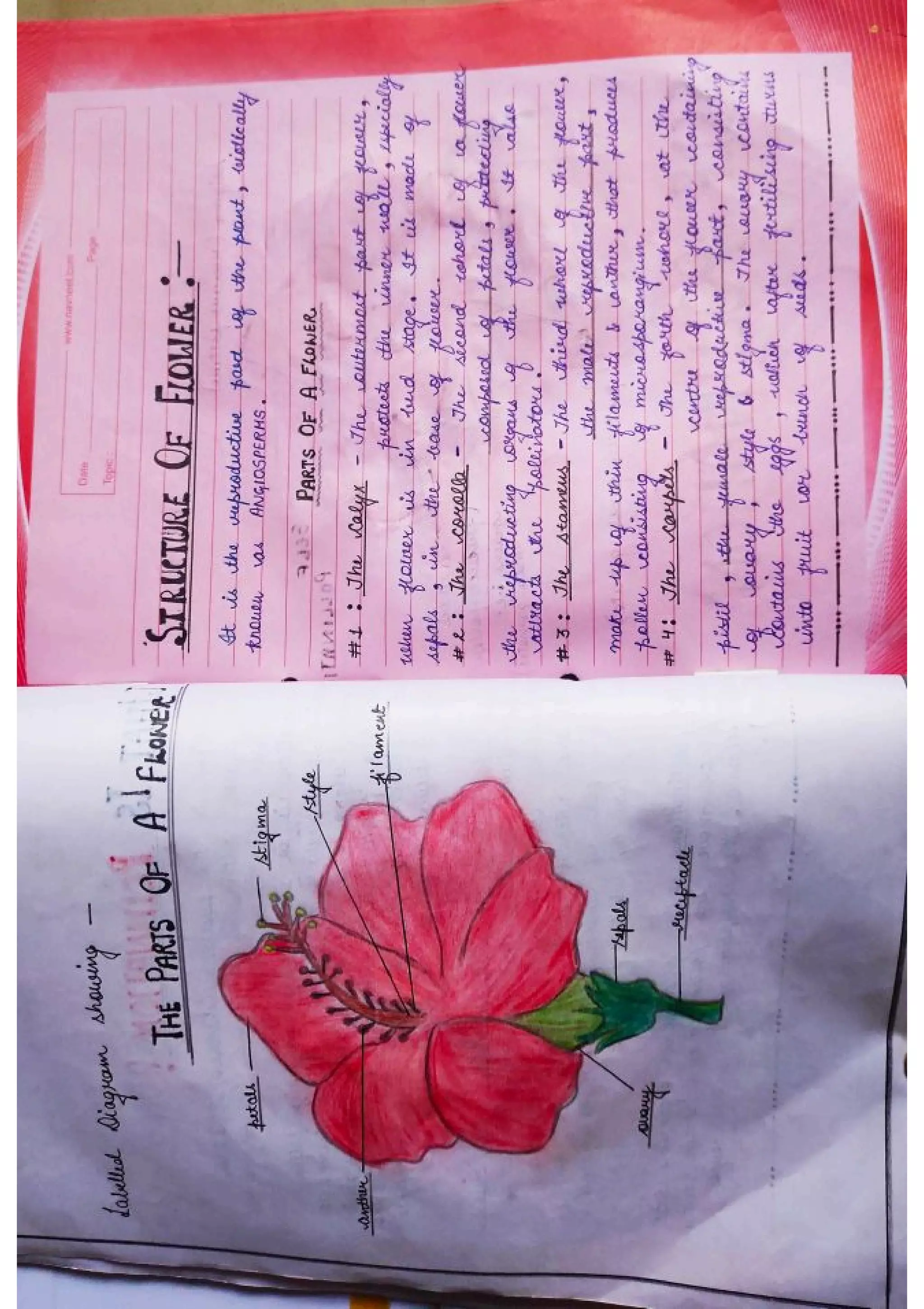 Biology Investigatory Project Class 12 on Pollination | PDF