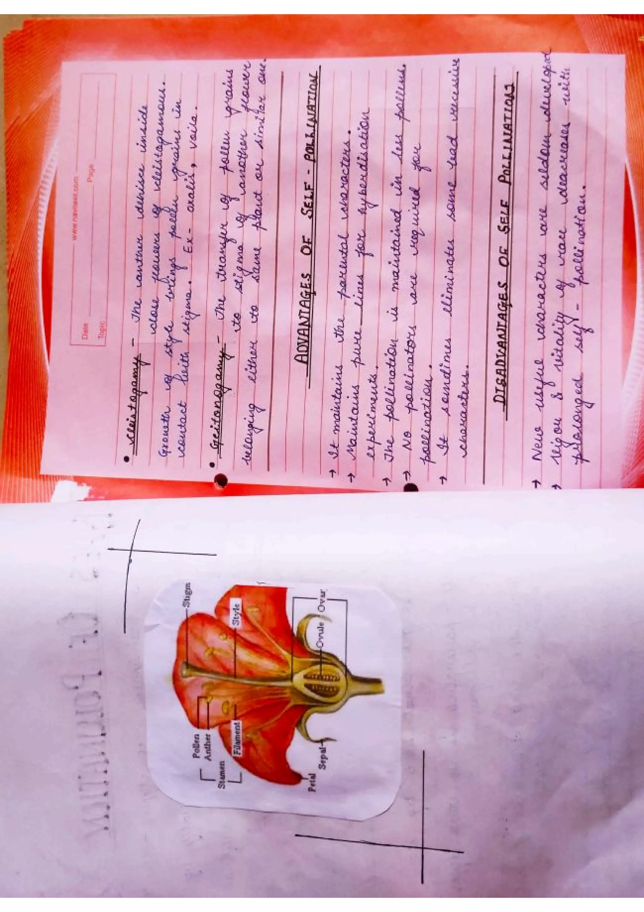 Biology Investigatory Project Class 12 on Pollination | PDF