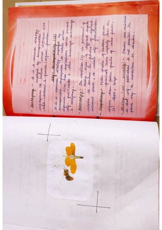 Biology Investigatory Project Class 12 on Pollination | PDF