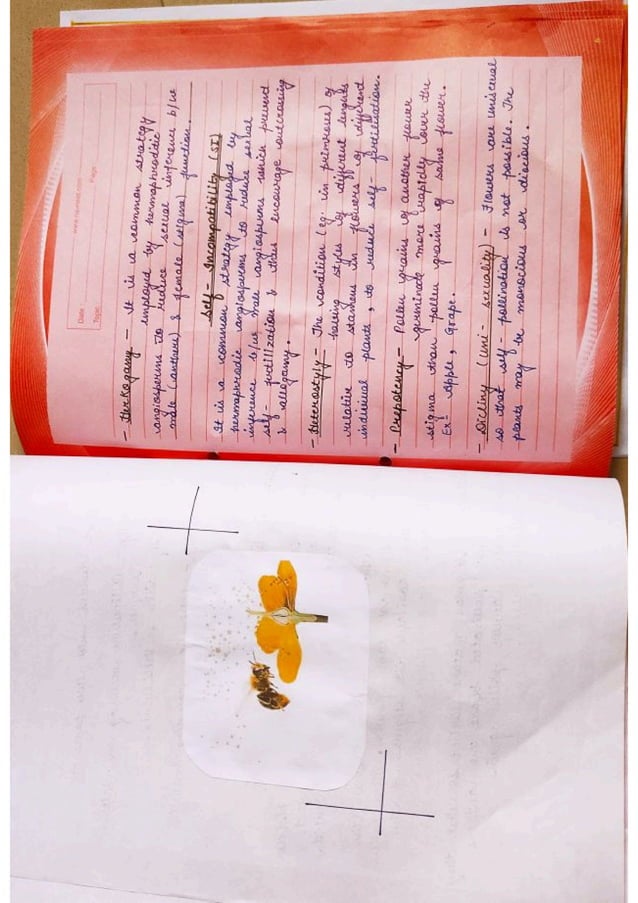 Biology Investigatory Project Class 12 on Pollination | PDF