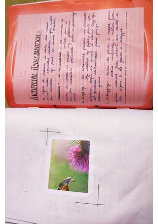 Biology Investigatory Project Class 12 on Pollination | PDF