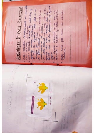 Biology Investigatory Project Class 12 on Pollination | PDF