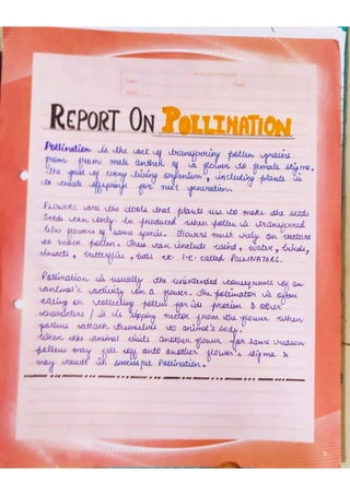 Biology Investigatory Project Class 12 on Pollination | PDF