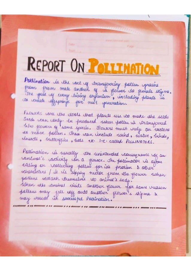 Biology Investigatory Project Class 12 on Pollination | PDF