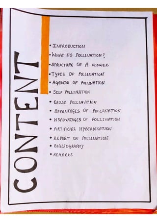 Biology Investigatory Project Class 12 on Pollination | PDF