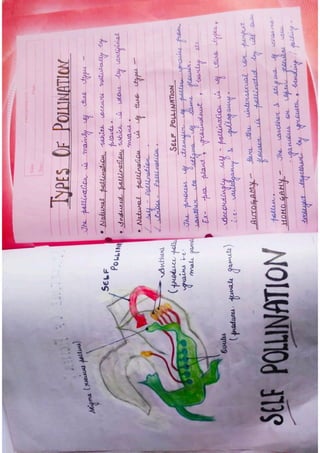 Biology Investigatory Project Class 12 on Pollination | PDF
