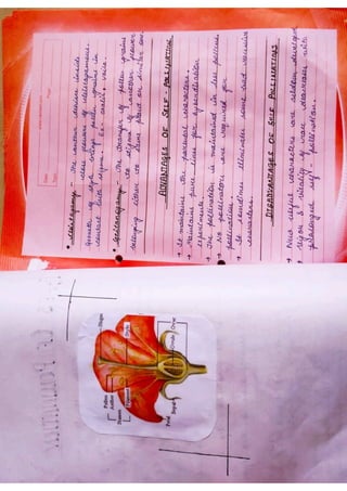 Biology Investigatory Project Class 12 on Pollination | PDF