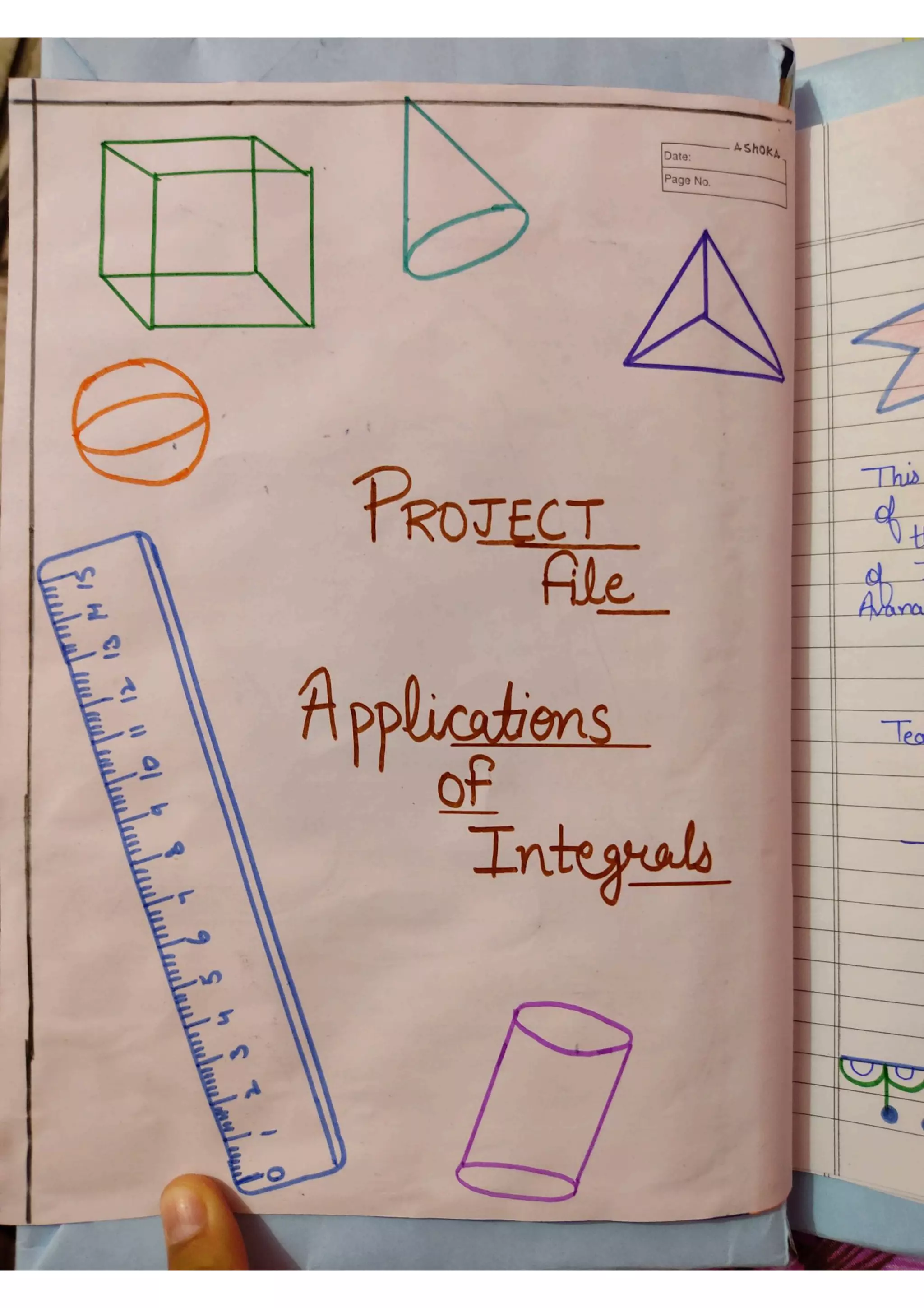 Integration and application of integral ,Project file class 12th Maths | PDF
