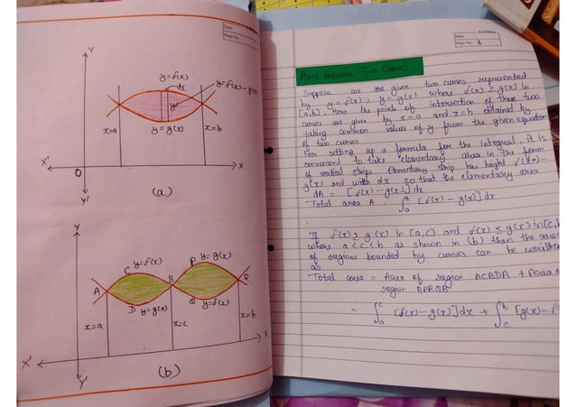 Integration and application of integral ,Project file class 12th Maths ...