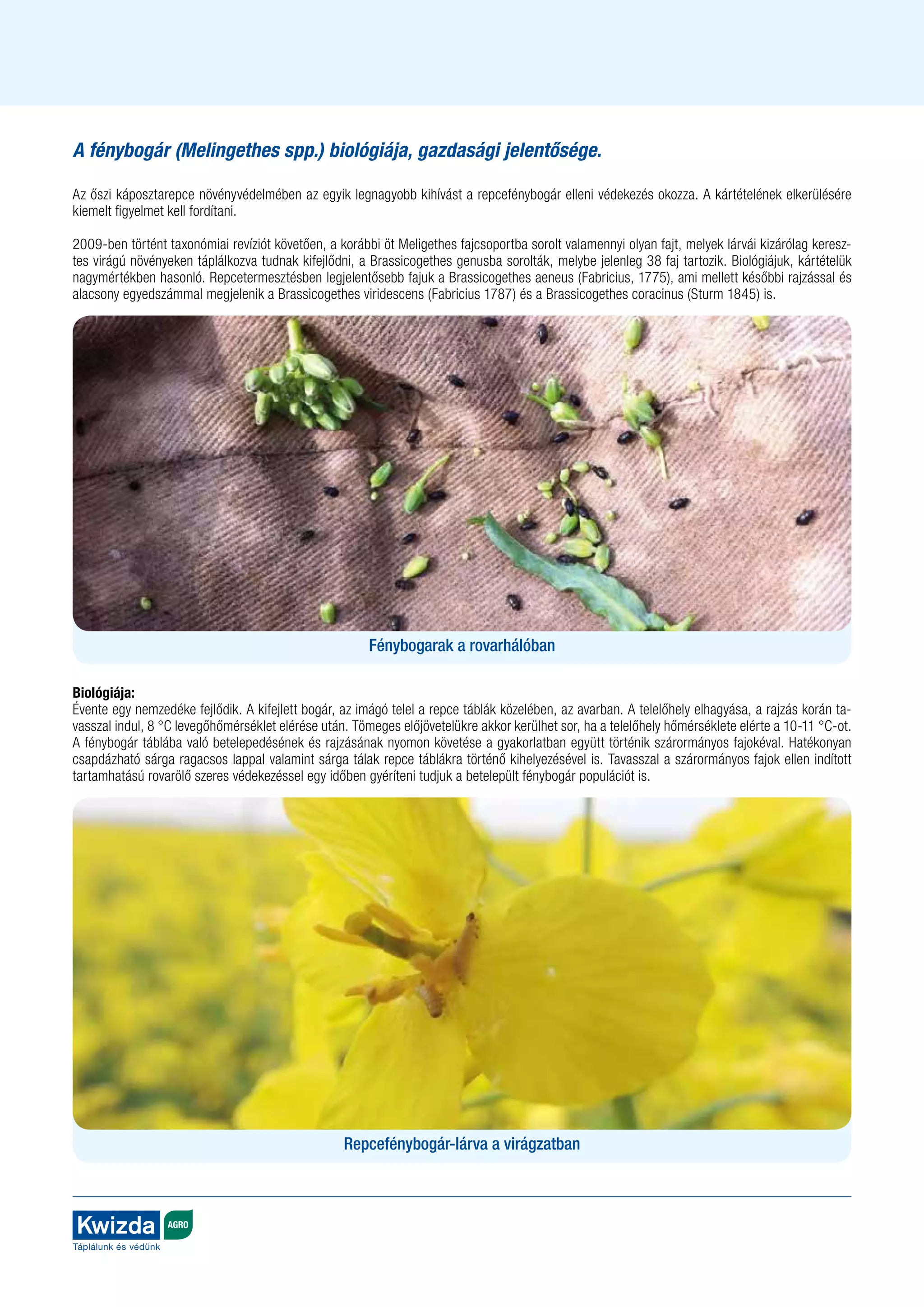 Imidan leaflet a4 05 | PDF