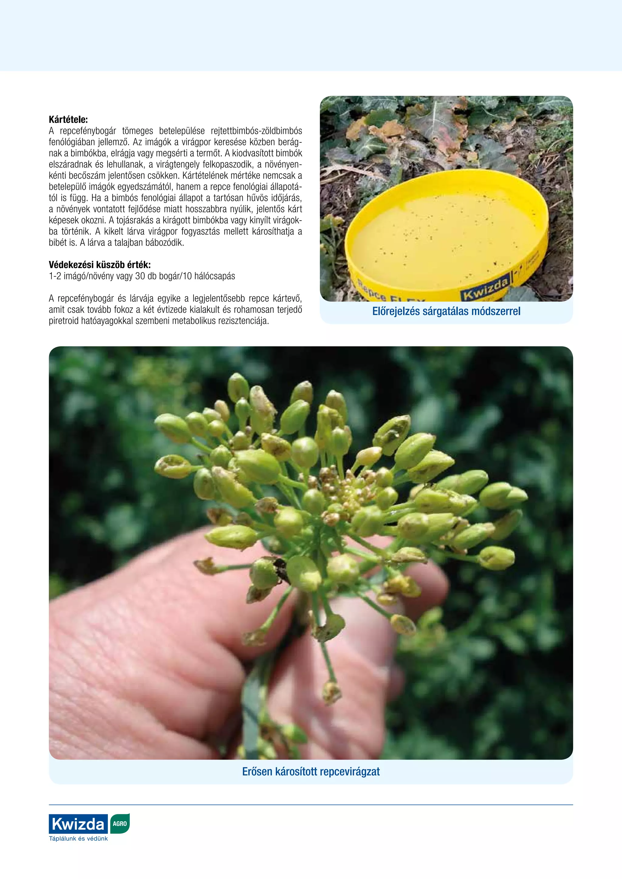 Imidan leaflet a4 05 | PDF